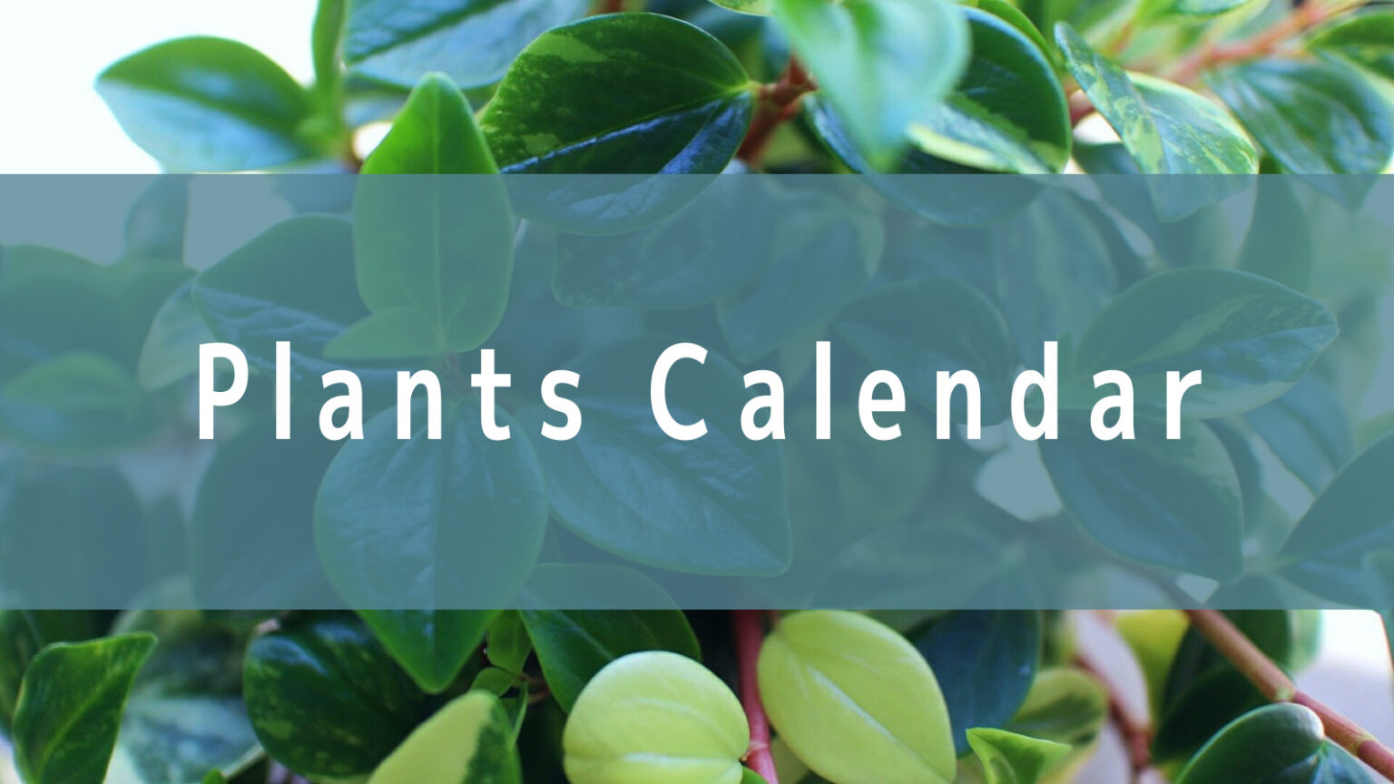 Plants Calendarー毎日更新の観葉植物の管理表ー - Plants Calendar